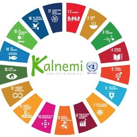 ¿Quiénes somos? – Kalnemi Transformarse 2030
